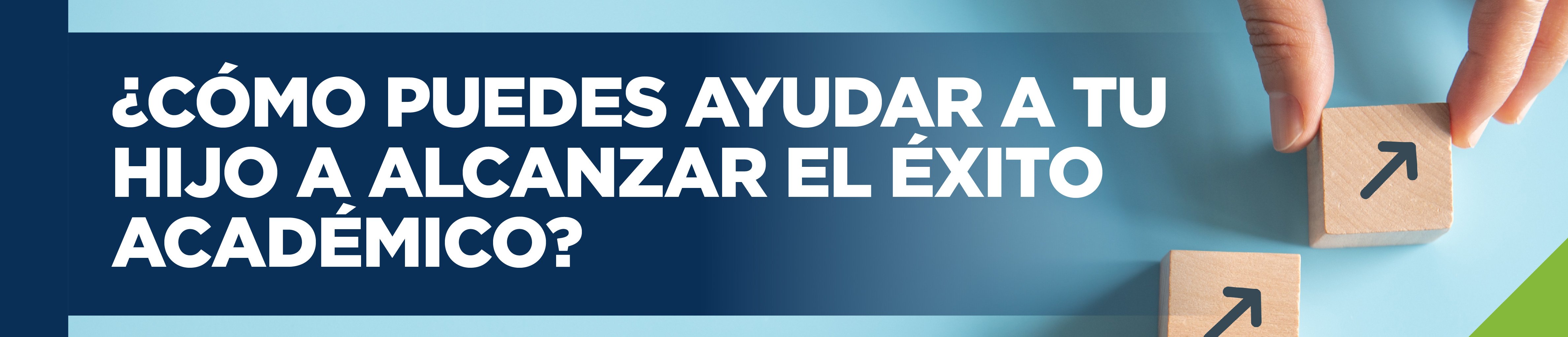 Consigue tu libro de primaria y alcanza el éxito académico: la guía completa que necesitas